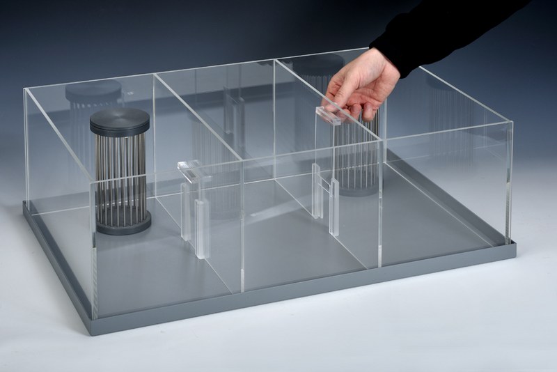 Test de paradigme social à trois chambres ( Three chamber test) - Aniphy