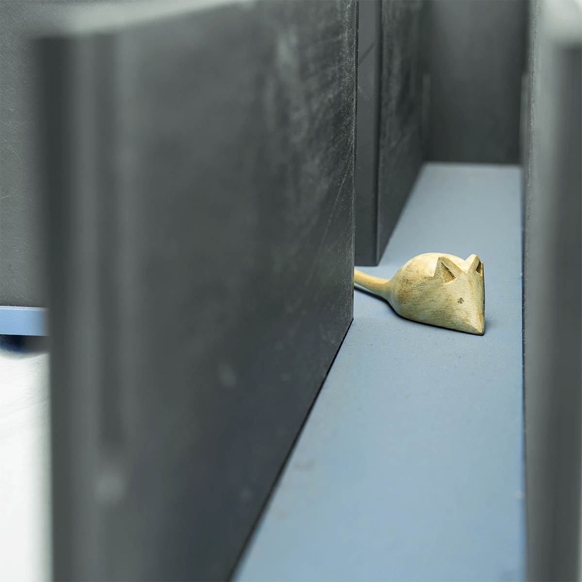 Labyrinthe en T pour Rat et Souris - Aniphy