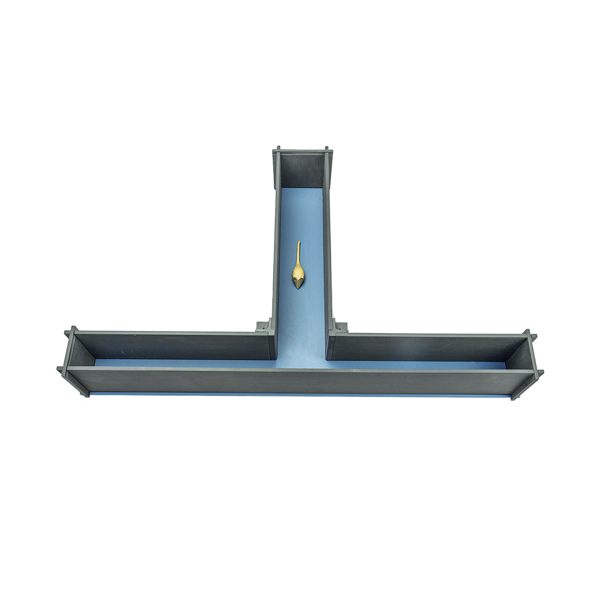 Labyrinthe en T pour Rat et Souris - Aniphy