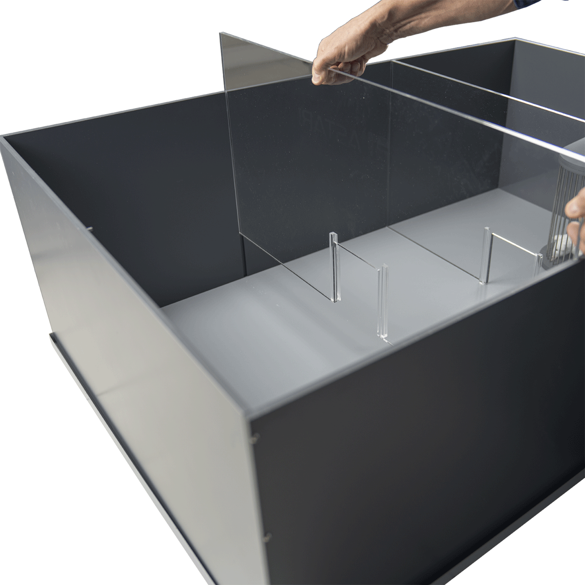 Test de paradigme social à trois chambres ( Three chamber test) - Aniphy